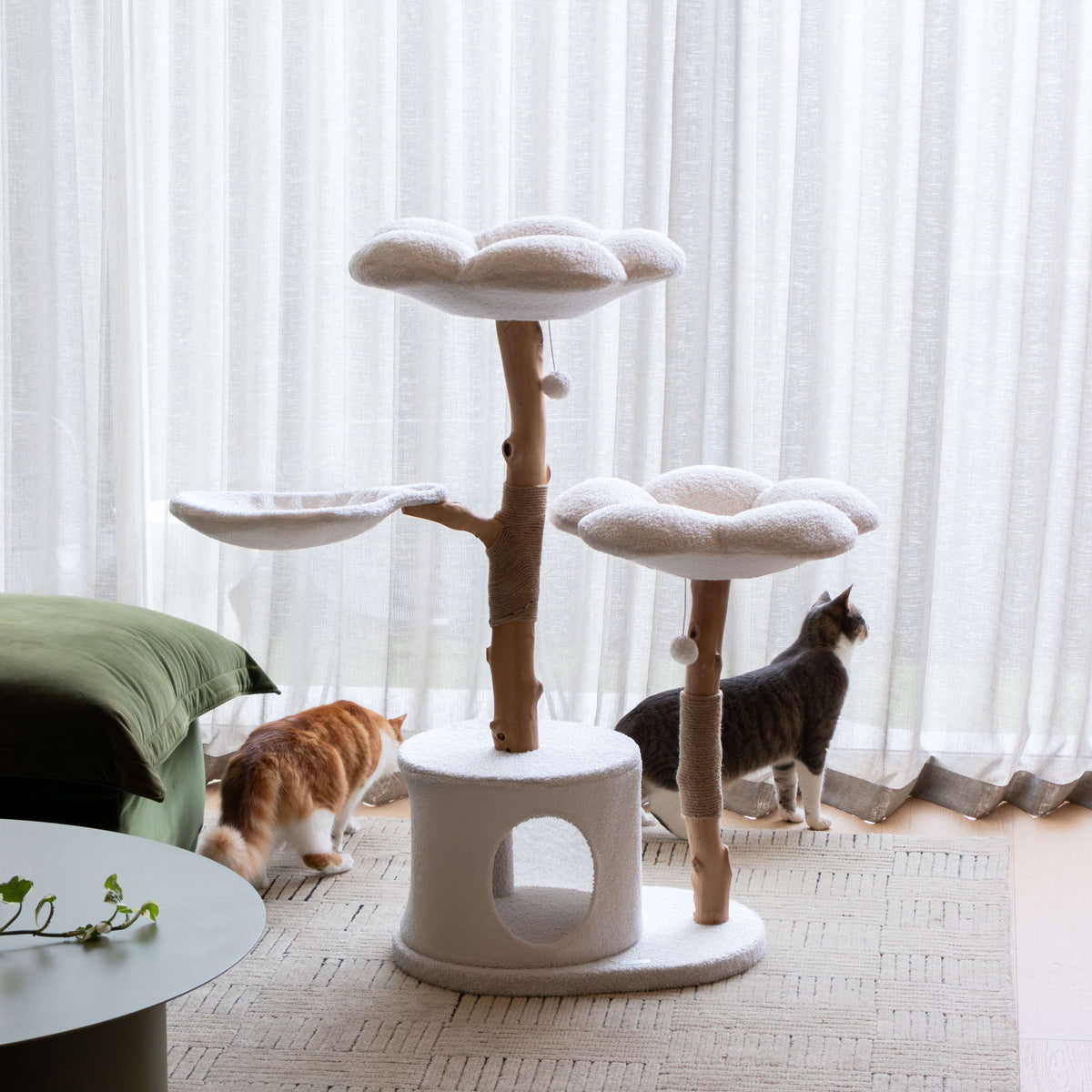 Lickitty: Where Love Climbs High