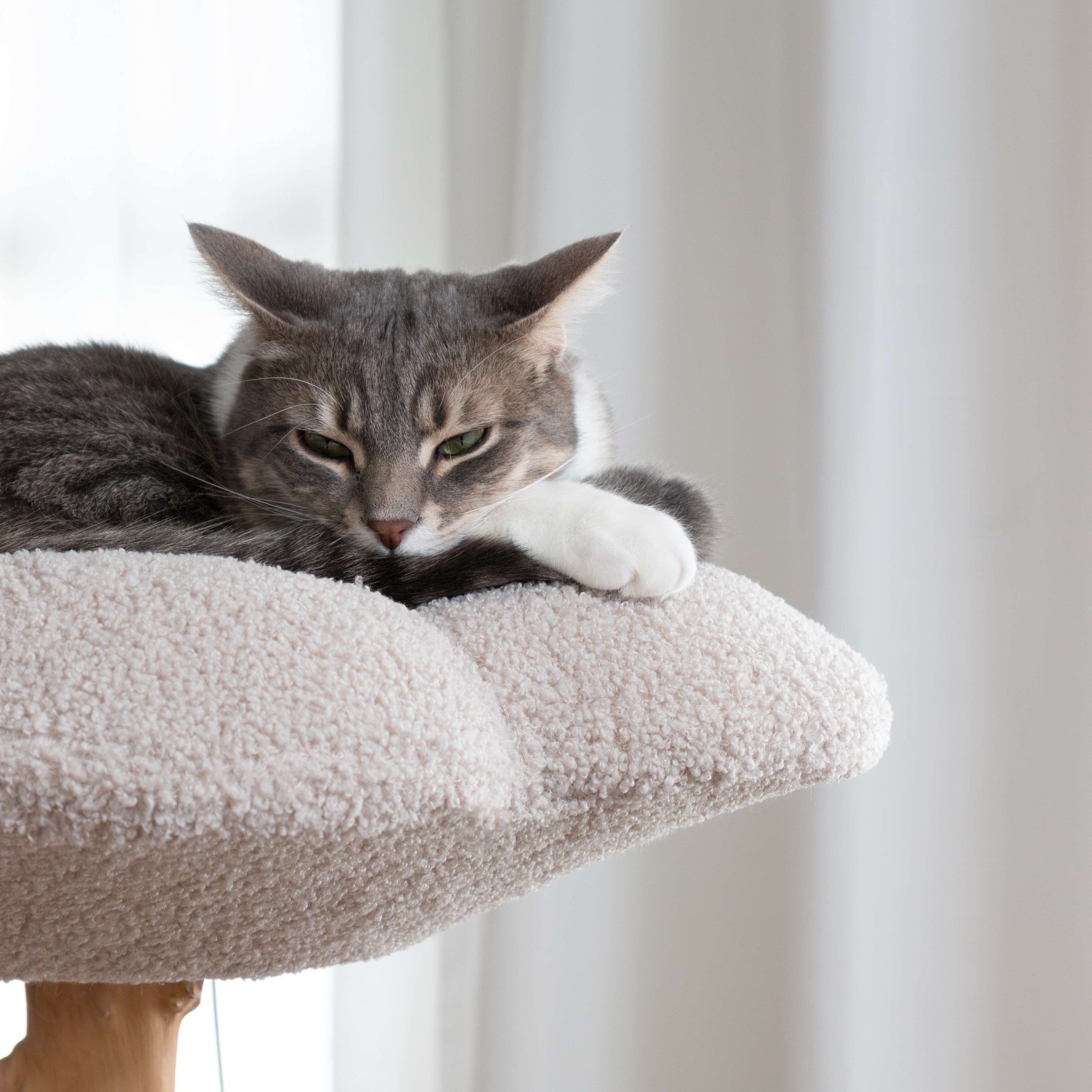 Medi Mocha Flower Cat Tree