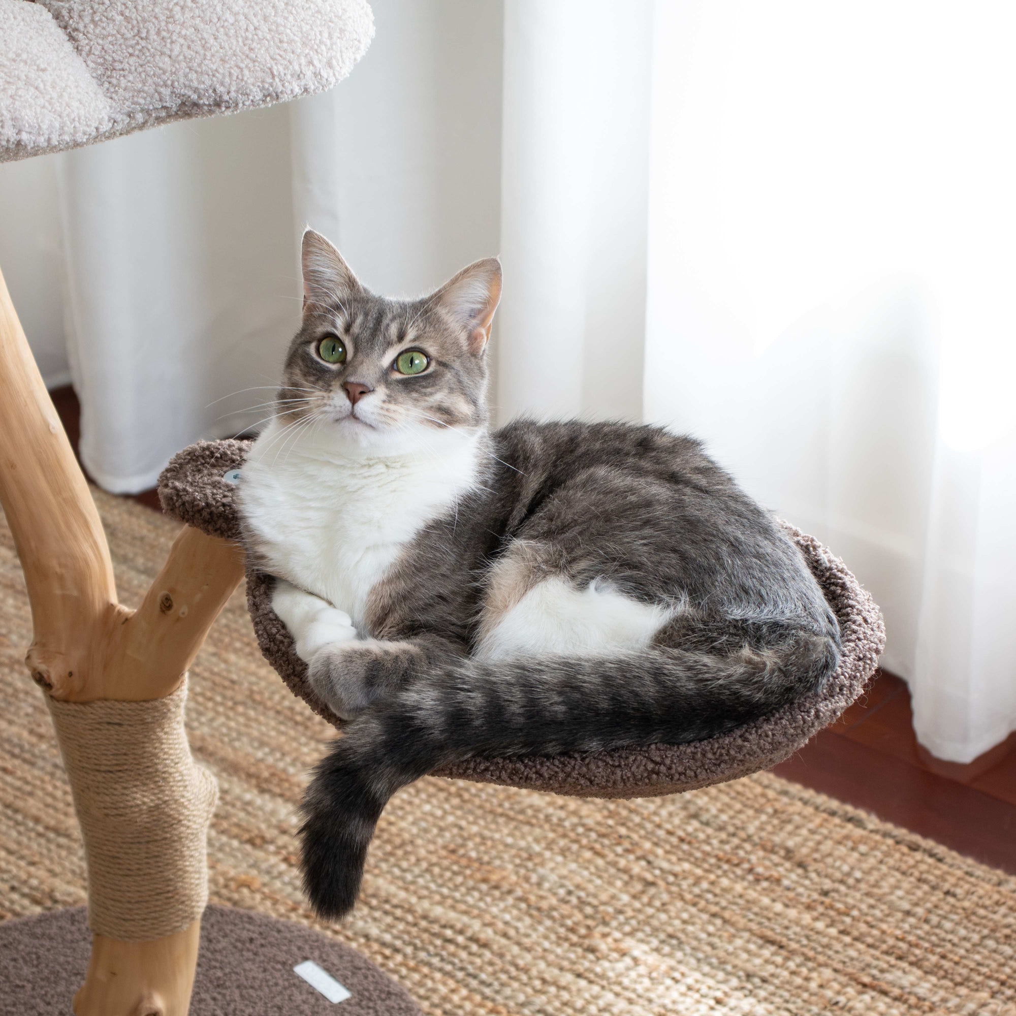 Medi Mocha Flower Cat Tree