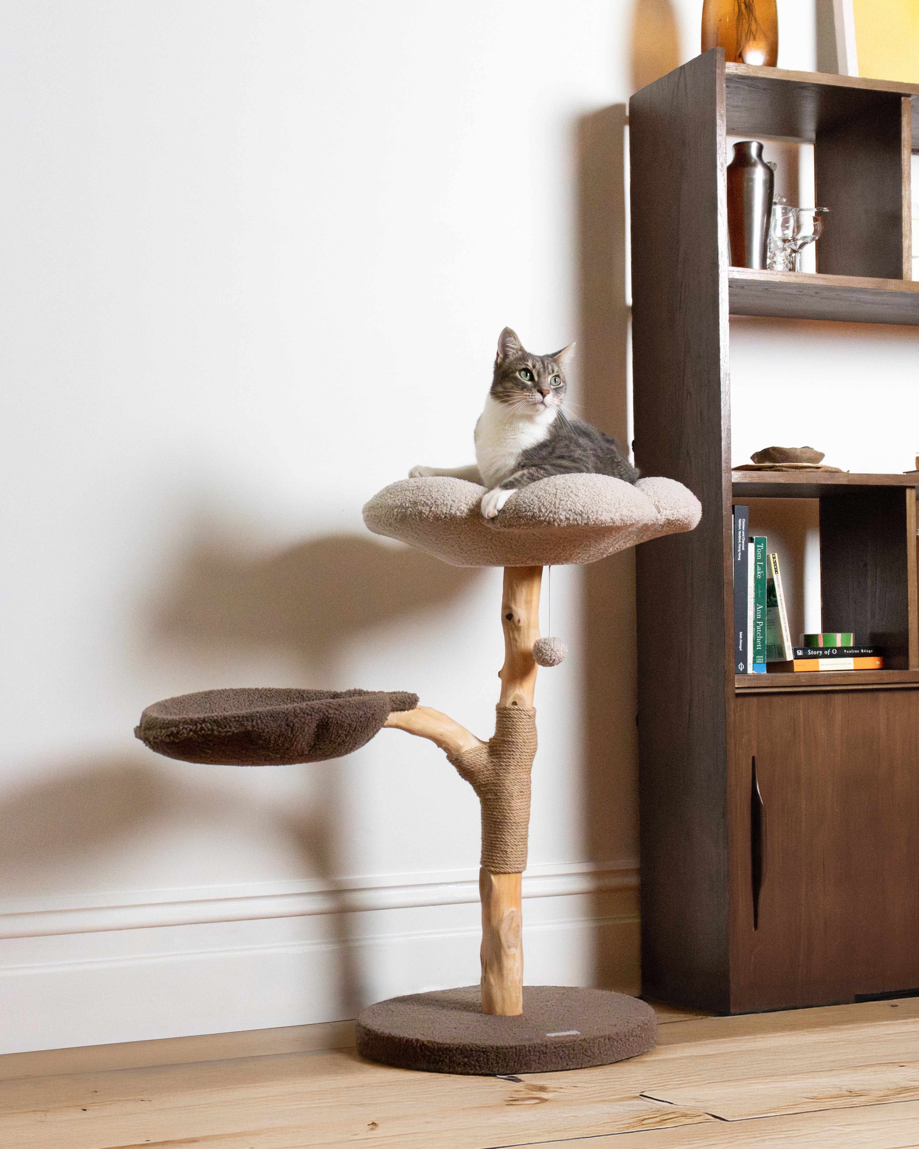 Medi Mocha Flower Cat Tree