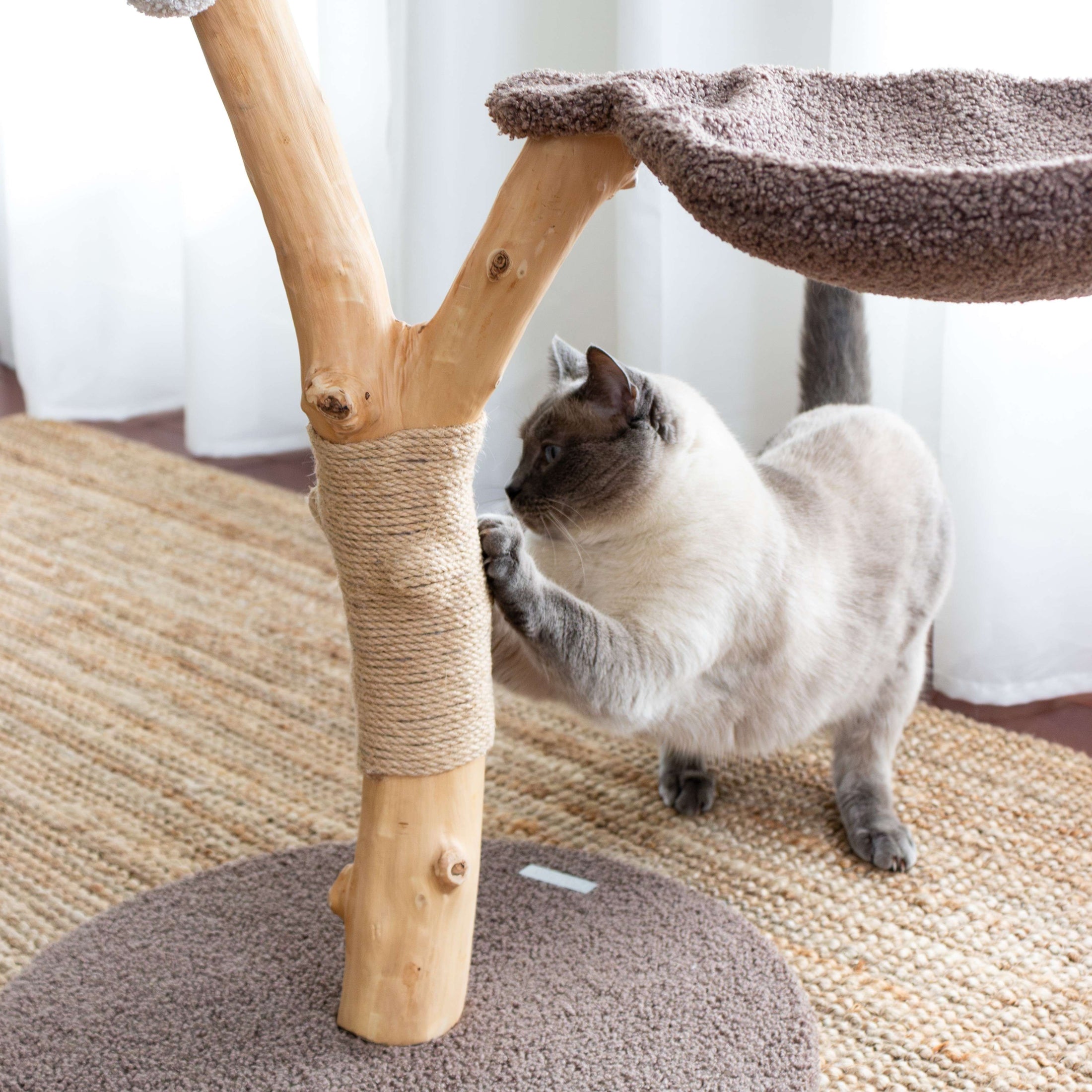Medi Mocha Flower Cat Tree